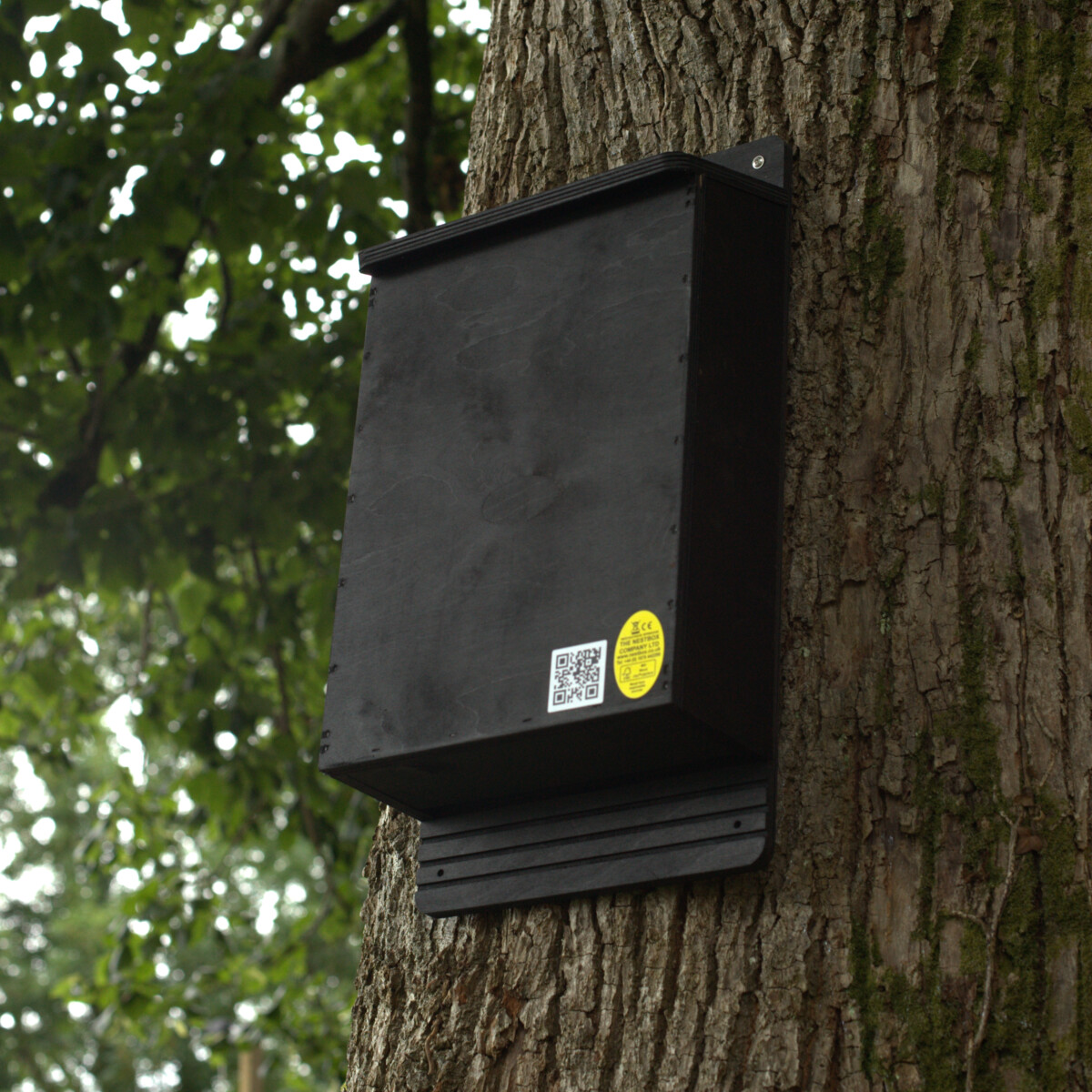The Nestbox Company Roost Maternity Bat Box - Available from Easypave ...